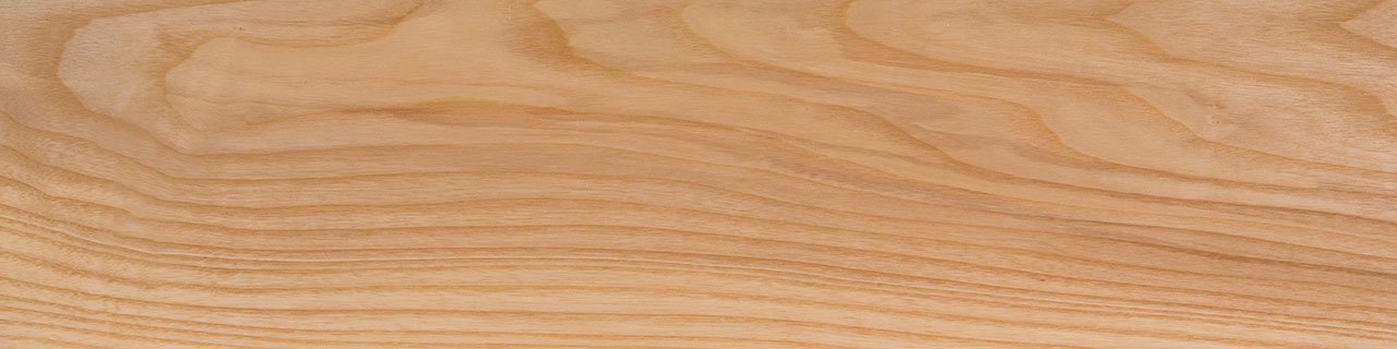 At One with the Tree – Coulter’s Living