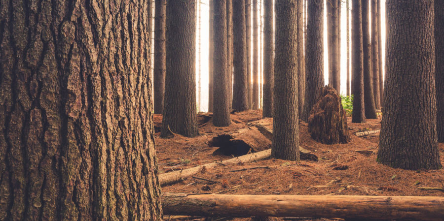 Good Night Principles – The Ethics and Edicts of Durham Furniture ...